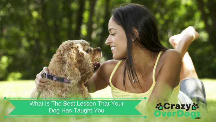 The Best Life Lessons Learned From My Dog