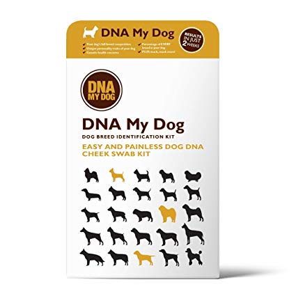 Best DNA Testing Kits For Dogs - ( 2023 Smart Buying Guide )